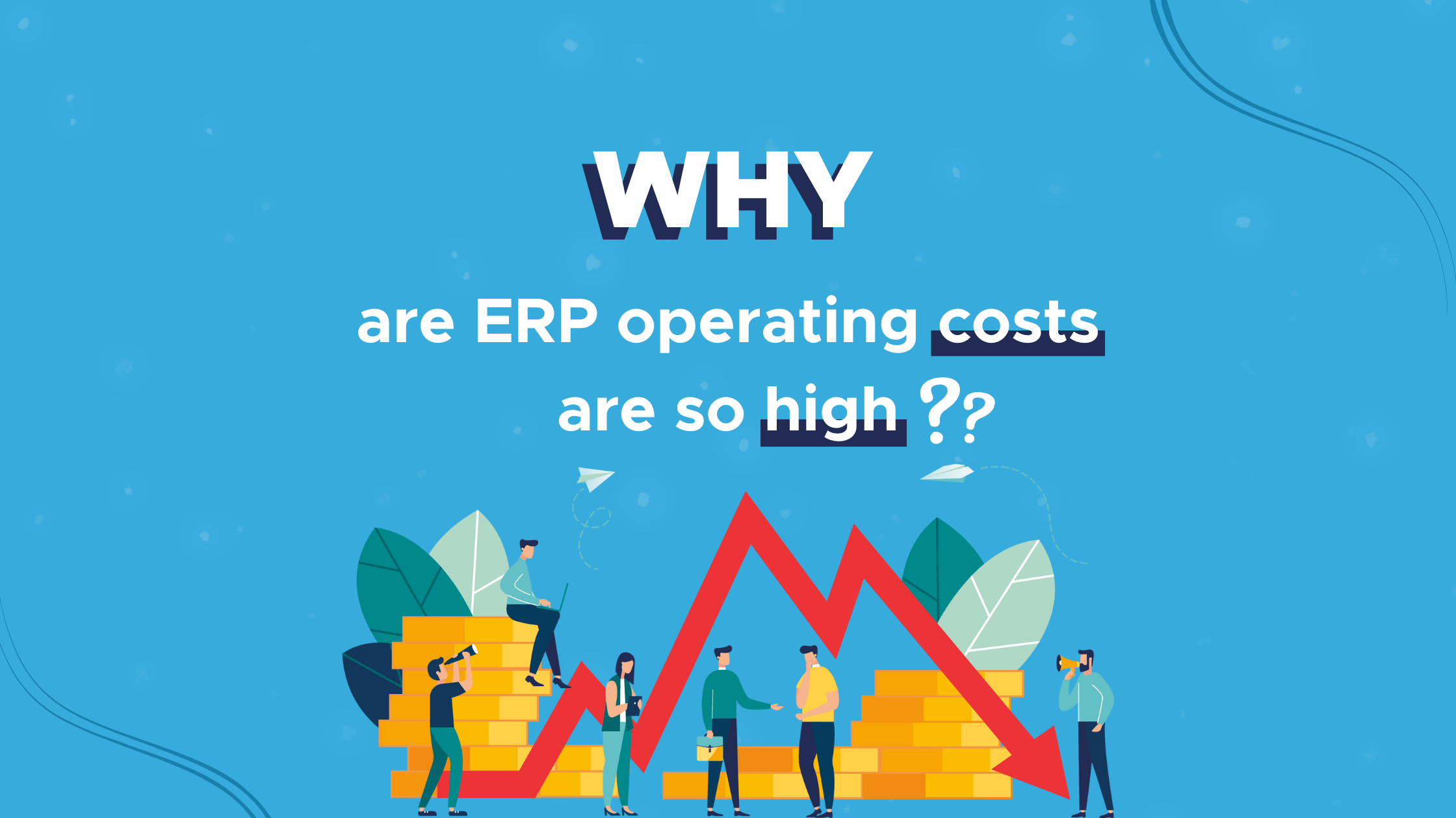 Why are ERP operating costs so high? - Shortways